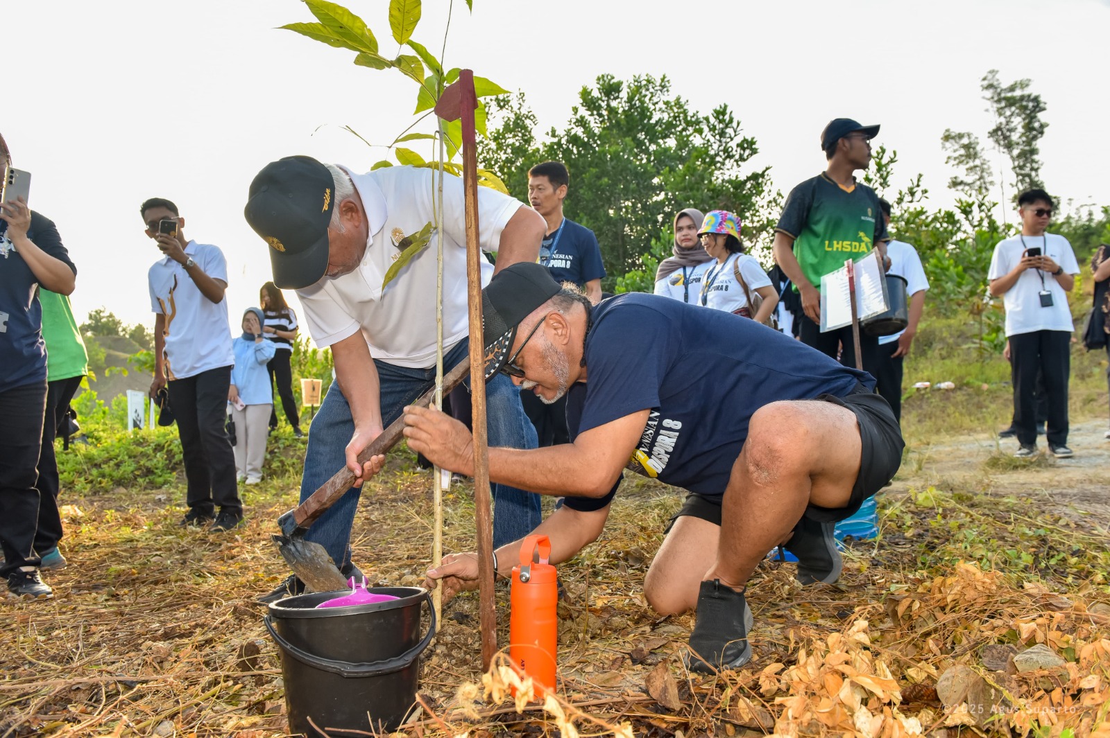 Dukung Pembangunan, Ratusan Diaspora Indonesia Tanam Pohon di IKN - Mandau Post